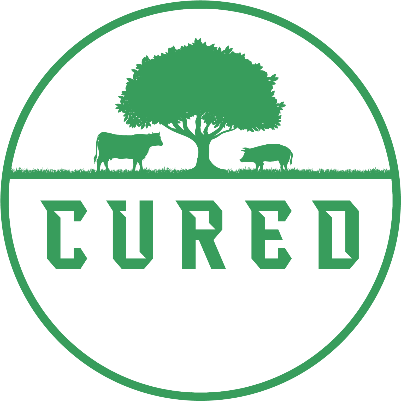 Discover and Explore Our Menu Today - Cured